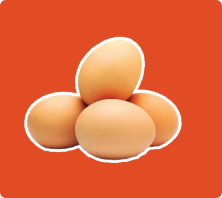 KAYAM - Jaya Chicken